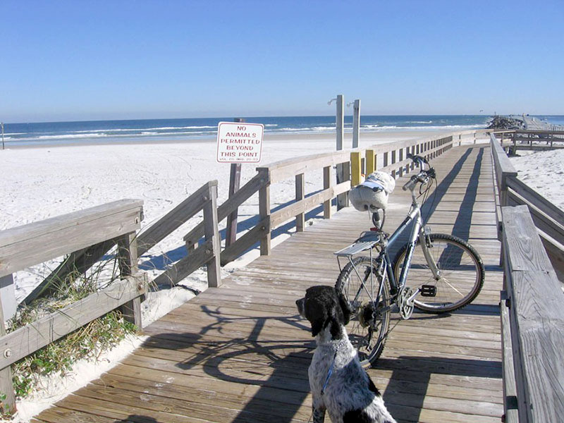Sunrise Bike Rides | East Wind Condos in Ponce Inlet Florida